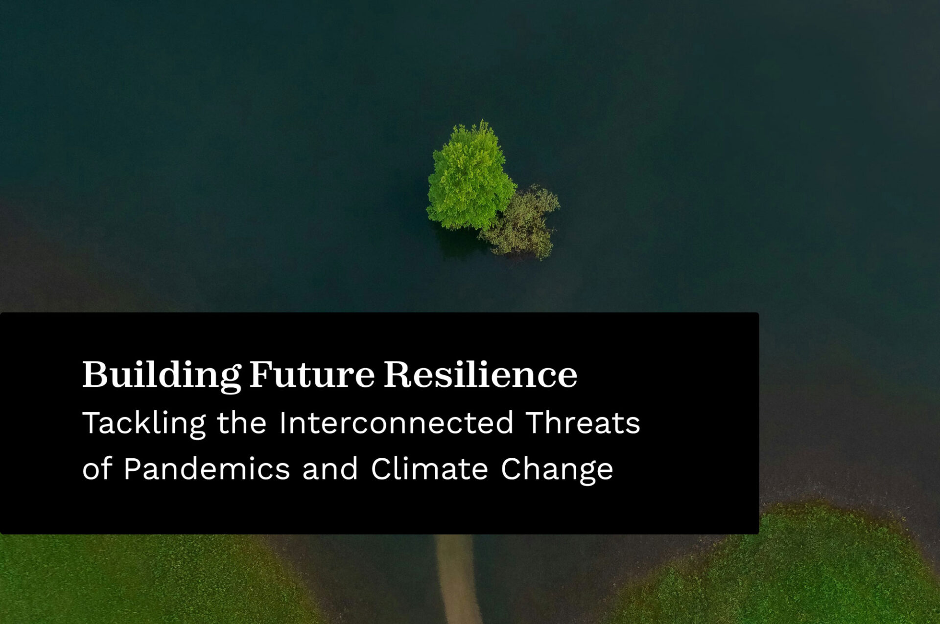Building Future Resilience: Tackling the Interconnected Threats of ...